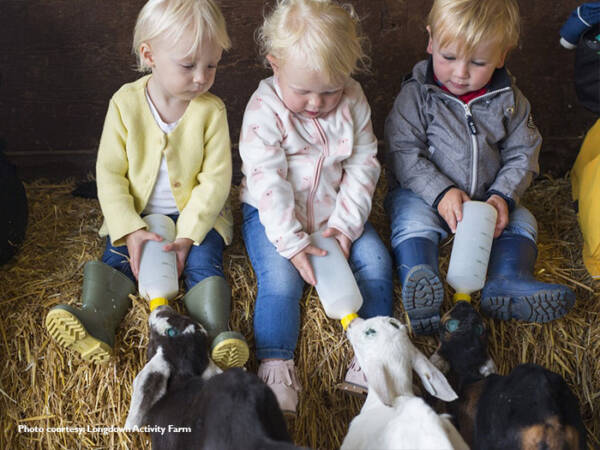 Longdown Activity Farm - New Forest Online - Tourist Information